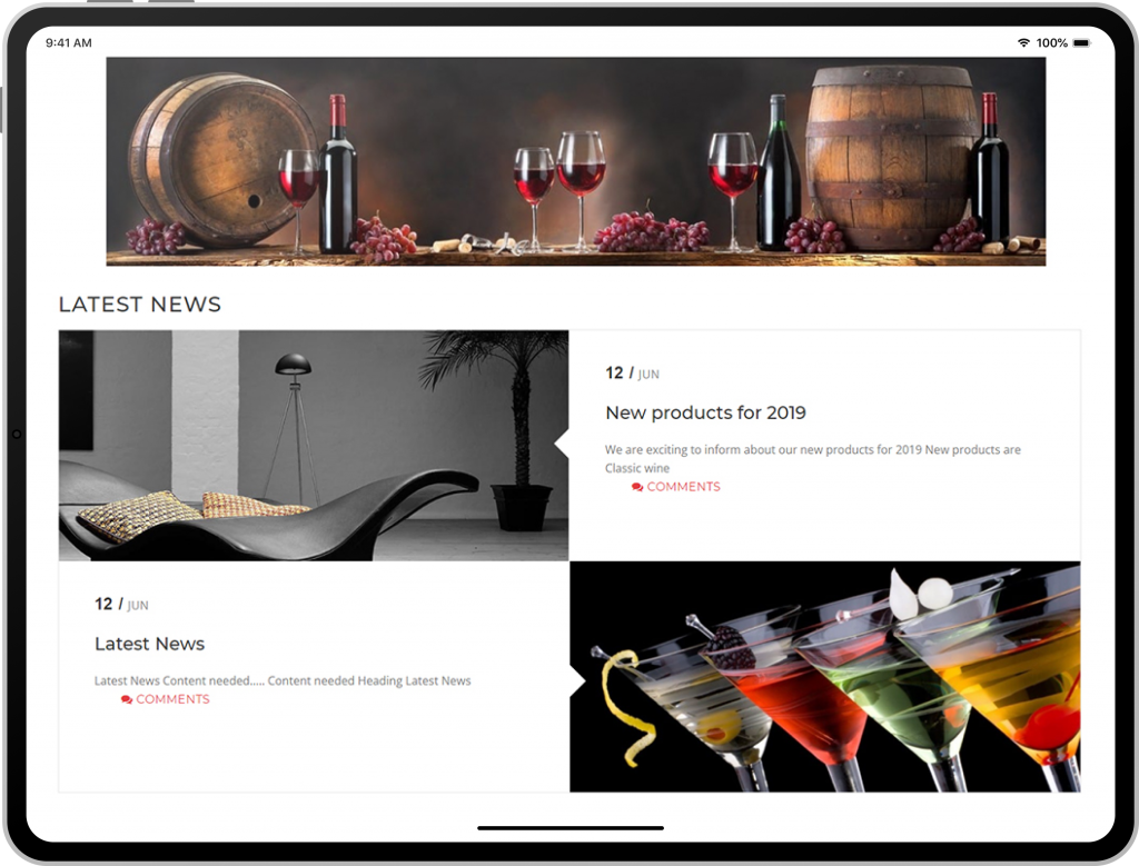 Radius360x E-Commerce Solution - Indigo Olive Software